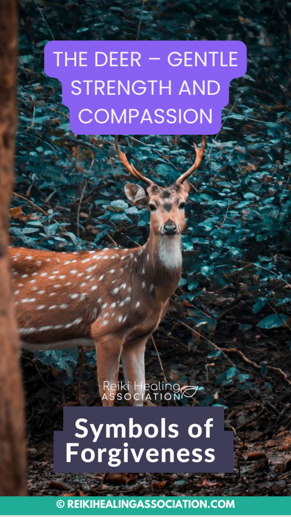 12 Powerful Symbols of Forgiveness and their Meanings