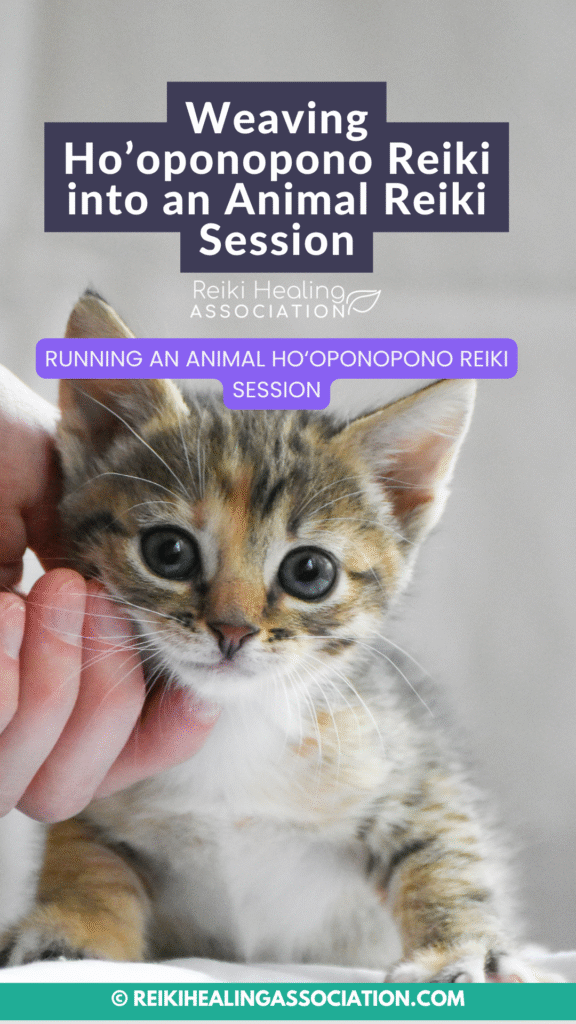 Weaving Ho’oponopono Reiki into an Animal Reiki Session